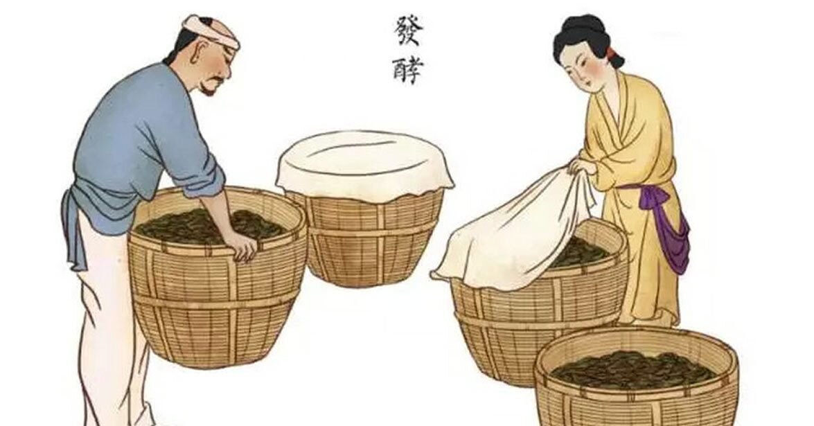 The Degree of Fermentation of the Tea Leaf | Chazhidao Chinese Tea ...