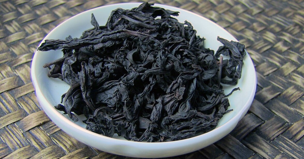 Golden Water Turtle | Chazhidao Chinese Tea Traditions School