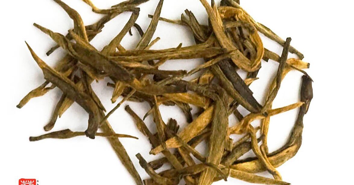 Yunnan Moonlight Golden Needle | Chazhidao Chinese Tea Traditions School